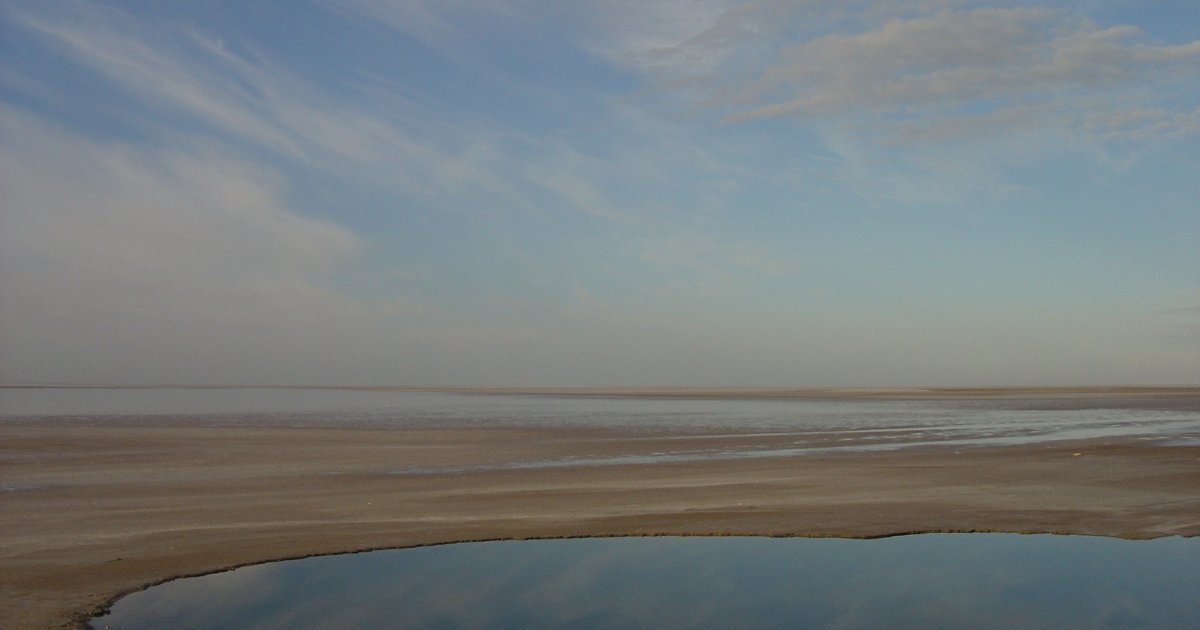 MAM LIFE ART - MAM LIFE ART